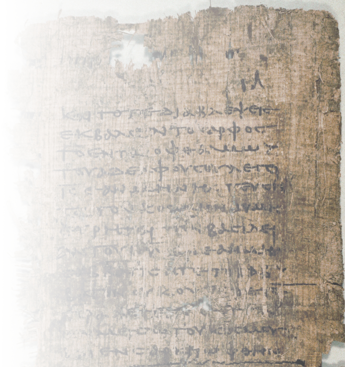 About – The Early History of the Codex