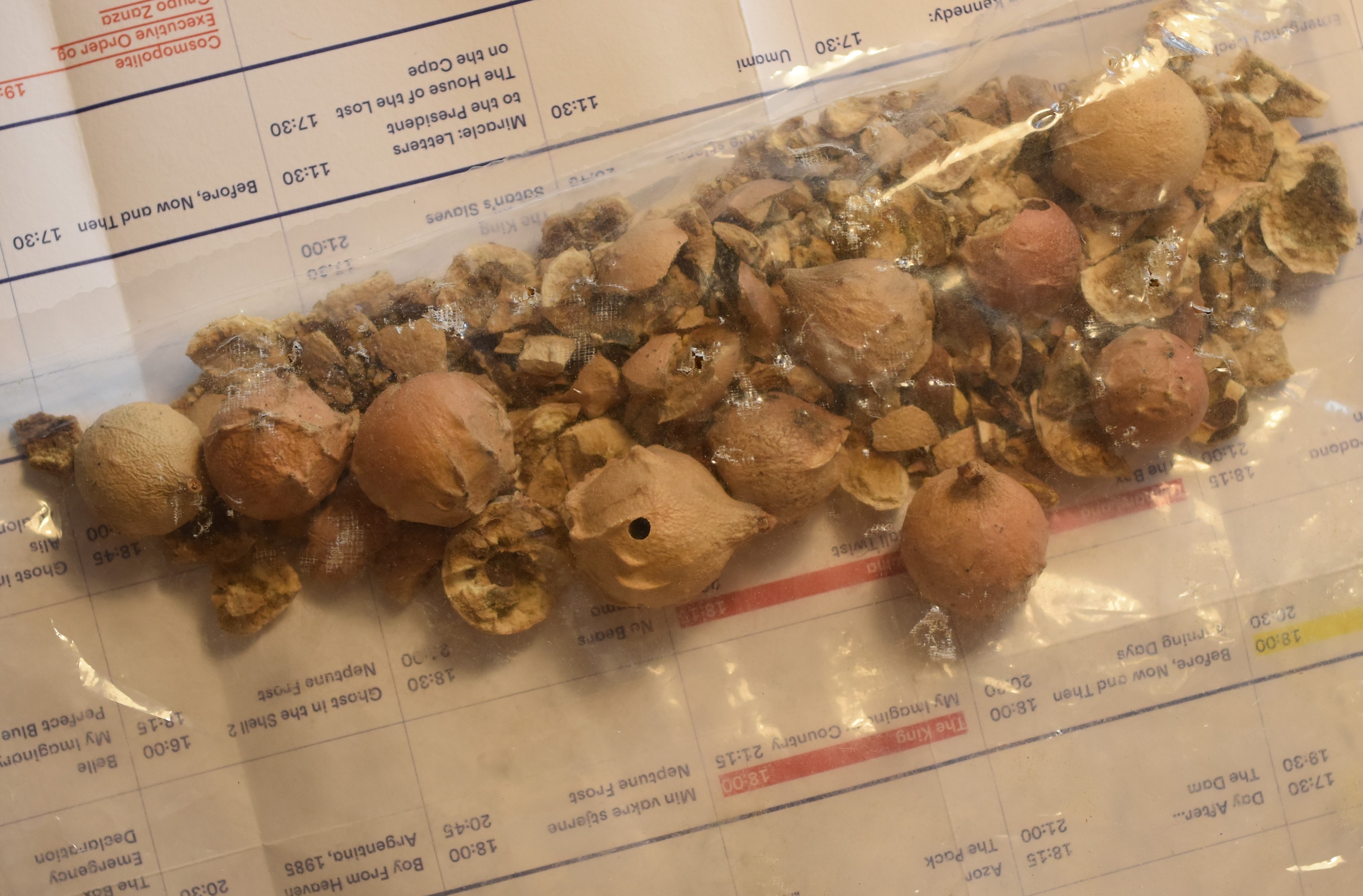 Models – The Early History of the Codex